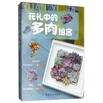 花礼中的多肉组合