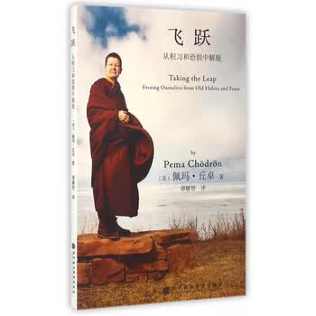 飞跃(从积习和恐惧中解脱)