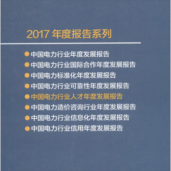  中国电力行业人才年度发展报告20179787519811884
