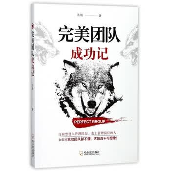 完美团队成功记