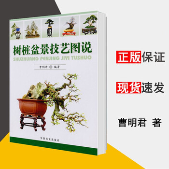 树桩盆景技艺图说 曹明君 盆景制作教材书籍 盆景造型艺术盆景修剪 盆景养护手册种植栽培树桩盆景植物管