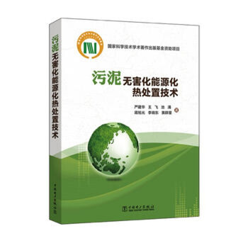 污泥化能源化热处置技术