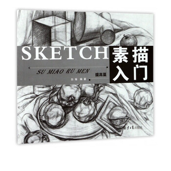 素描入门(提高篇)