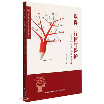 取得行使与保护——知识产权实务指南