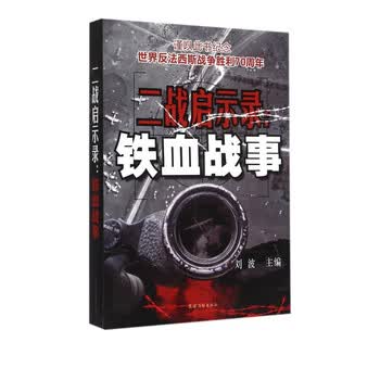 二战启示录--铁血战事