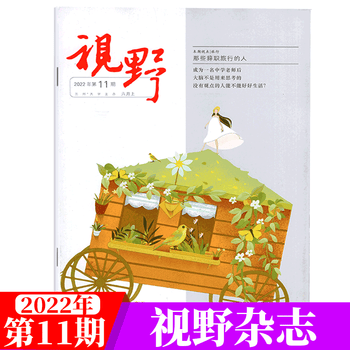 视野杂志 2022年第11期