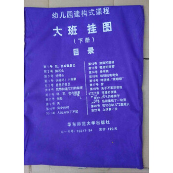 幼儿建构式课程/挂图(中班上) 中班下 大班 上  大班下  单册售价：96.00
