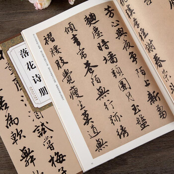唐寅落花诗册 明 历代碑帖精粹 临摹唐伯虎行书书法练习毛笔字帖 原帖附简体旁注 安徽美术出版社