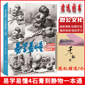 易学易懂4石膏到静物一本通 2021烈公文化桂佳伊单个组合素描石膏几何体静物步骤对照结构到完整稿临摹