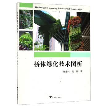 桥体绿化技术图析