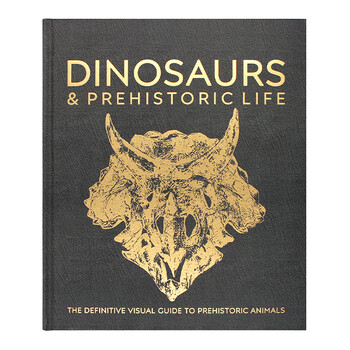 英文原版 Dinosaurs & Prehistoric Life 恐龙与史前生命 自然历史博物馆 侏罗纪世界 恐龙化石 DK百科