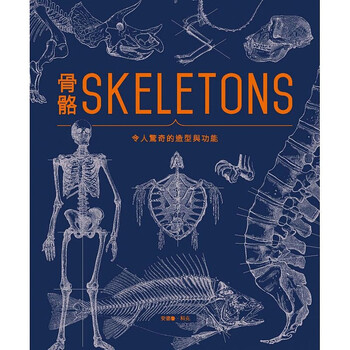 台版 骨骼SKELETONS令人惊奇的造型与功能 人体结构构造图解人文科学