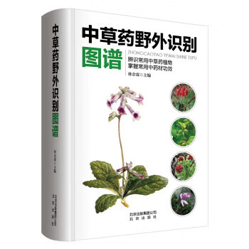 中草药野外识别图谱 林余霖 北京出版社