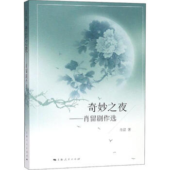 奇妙之夜——肖留剧作选