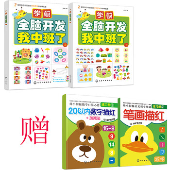 学前全脑开发4-5岁（套装2册）