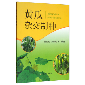 黄瓜杂交制种