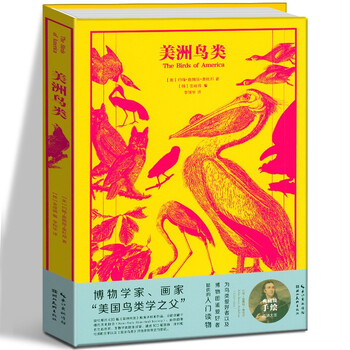 【赠海报】美洲鸟类 美国鸟类学之父奥杜邦 博物图鉴入门读物 鸟类大百科水彩画 典藏级手绘鸟类高清大图