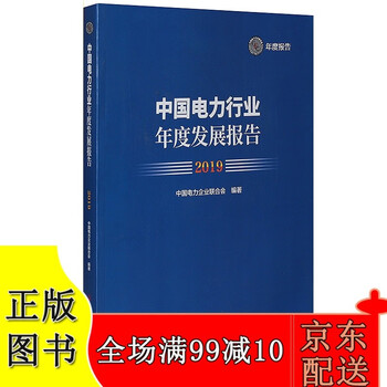 2019中国电力行业年度发展报告