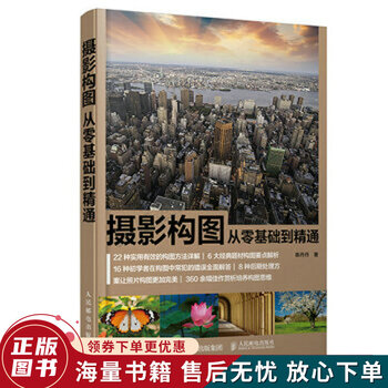 摄影构图从零基础到精通