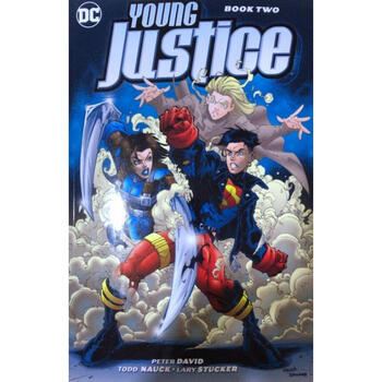 Young Justice Book Two