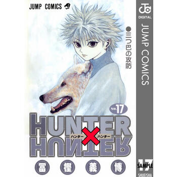 全职猎人17 日文原版 HUNTER X HUNTER 17 冨樫義博 集英社