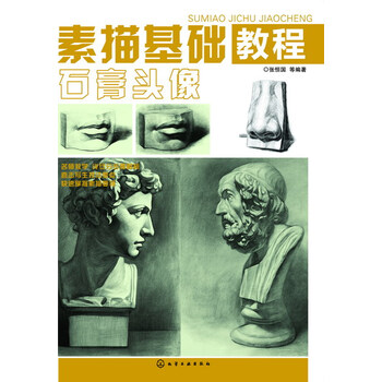 素描基础教程. 石膏头像 张恒国 等编著