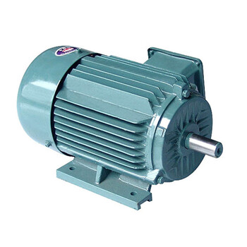 【长利长电YE3-160M-4】长利长电 异步电机;YE3-160M-4;11KW;380V;V1【行情 报价 价格 评测】-京东