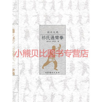 国术大观—祁氏通臂拳杨书洪,王海龙,文化艺术出版社