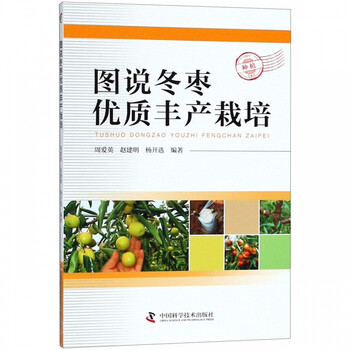 图说冬枣优质丰产栽培