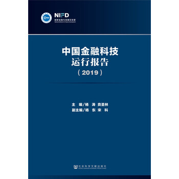 中国金融科技运行报告（2019）