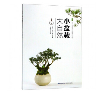 小盆栽大自然
