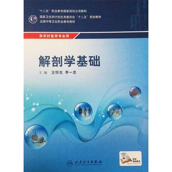 解剖学基础