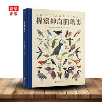 探索神奇的鸟类(精) 全球鸟类知识手绘图鉴300多种鸟的精美手绘科普