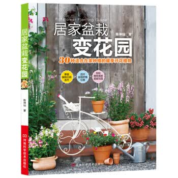 居家盆栽变花园