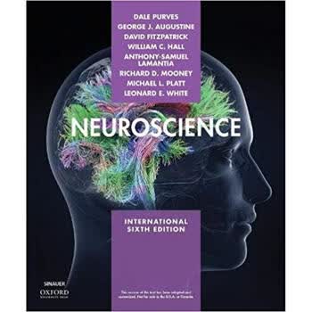 Neuroscience