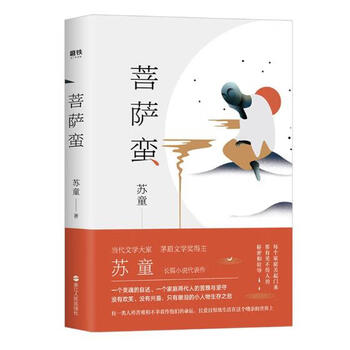 菩萨蛮 小说 书籍