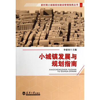 小城镇发展与规划指南 建筑 书籍