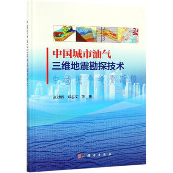中国城市油气三维地震勘探技术