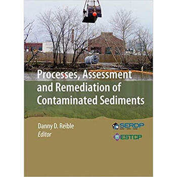 Processes, Assessment and Remediation of Contami