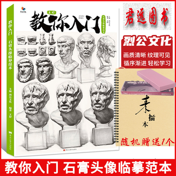 王舒教你入门石膏头像临摹范本 2021烈公文化王舒基础知识头骨肌肉石膏五官人物石膏像结构大关系完整稿