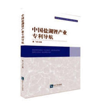 中国盐湖锂产业专利导航 法律 书籍