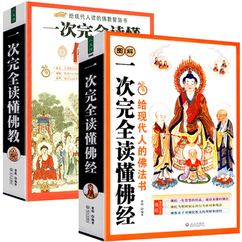包邮 图解一次完全读懂佛经佛教（全两册）学佛经佛学佛教入门基础知识书籍金刚经学禅宗论集中国佛教史