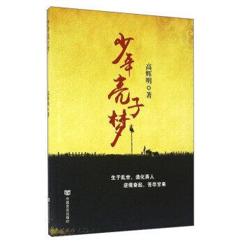 少年亮子梦 中国言实出版社 9787517117490 高辉明