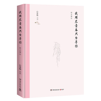 我用尽青春只为寻你（精装典藏版）