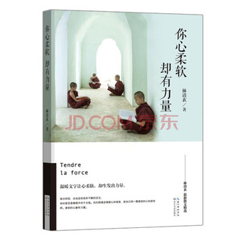 你心柔软，却有力量：林清玄最新散文精选
