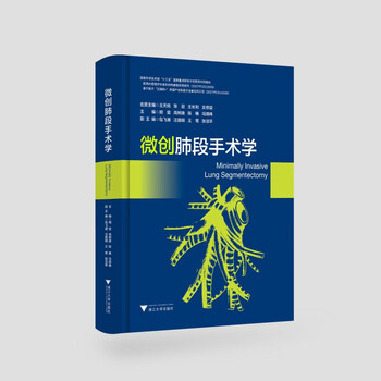 微创肺段手术学(精)