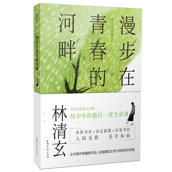 漫步在青春的河畔（林清玄给少年的一堂生命课） 