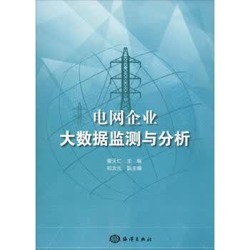 电网企业大数据监测与分析