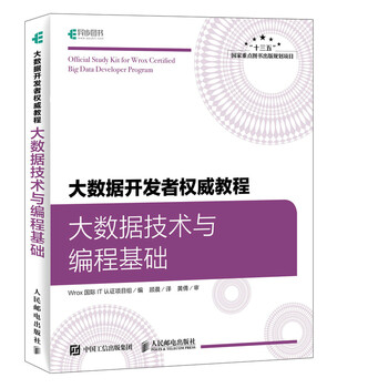 大数据*教程:大数据技术与编程基础:big data developer prog 计