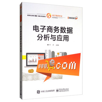 电子商务数据分析与应用